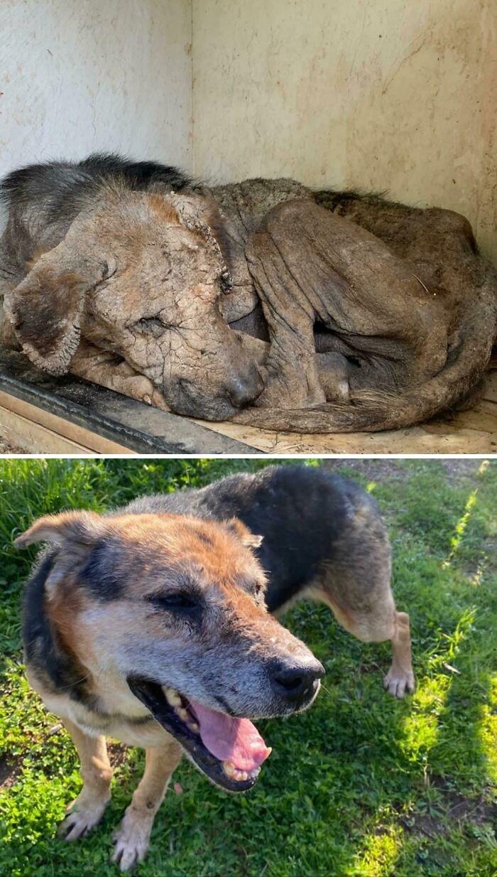 30 People Share the Most Satisfying transformation photos of their ...