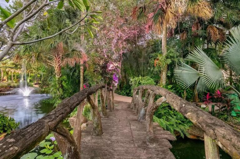 These Billionaire Backyards Will Have Your Jaw Dropped With Their Extra ...