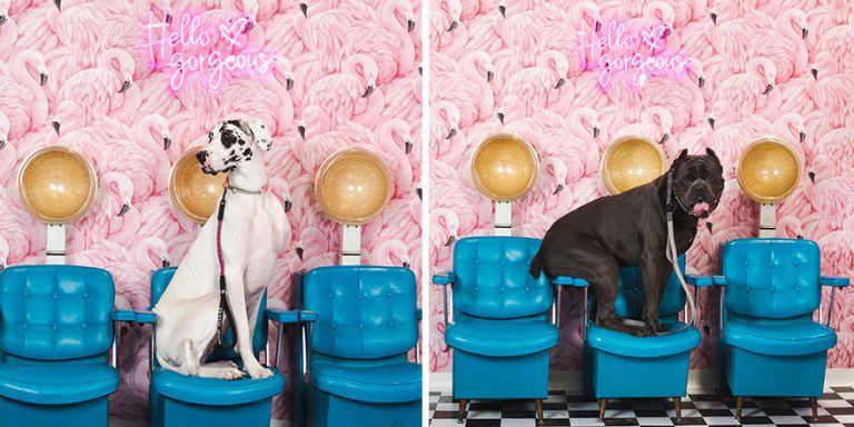 Here are the top 21 photos from the photo shoot to demonstrate that ...