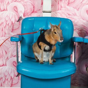 Here are the top 21 photos from the photo shoot to demonstrate that ...