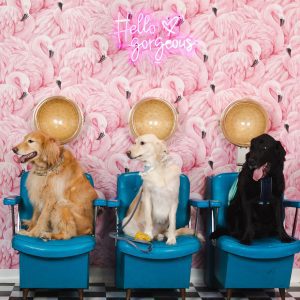 Here are the top 21 photos from the photo shoot to demonstrate that ...