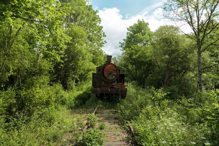 I Captured 15 eerie pictures of ghost trains that depict abandoned ...