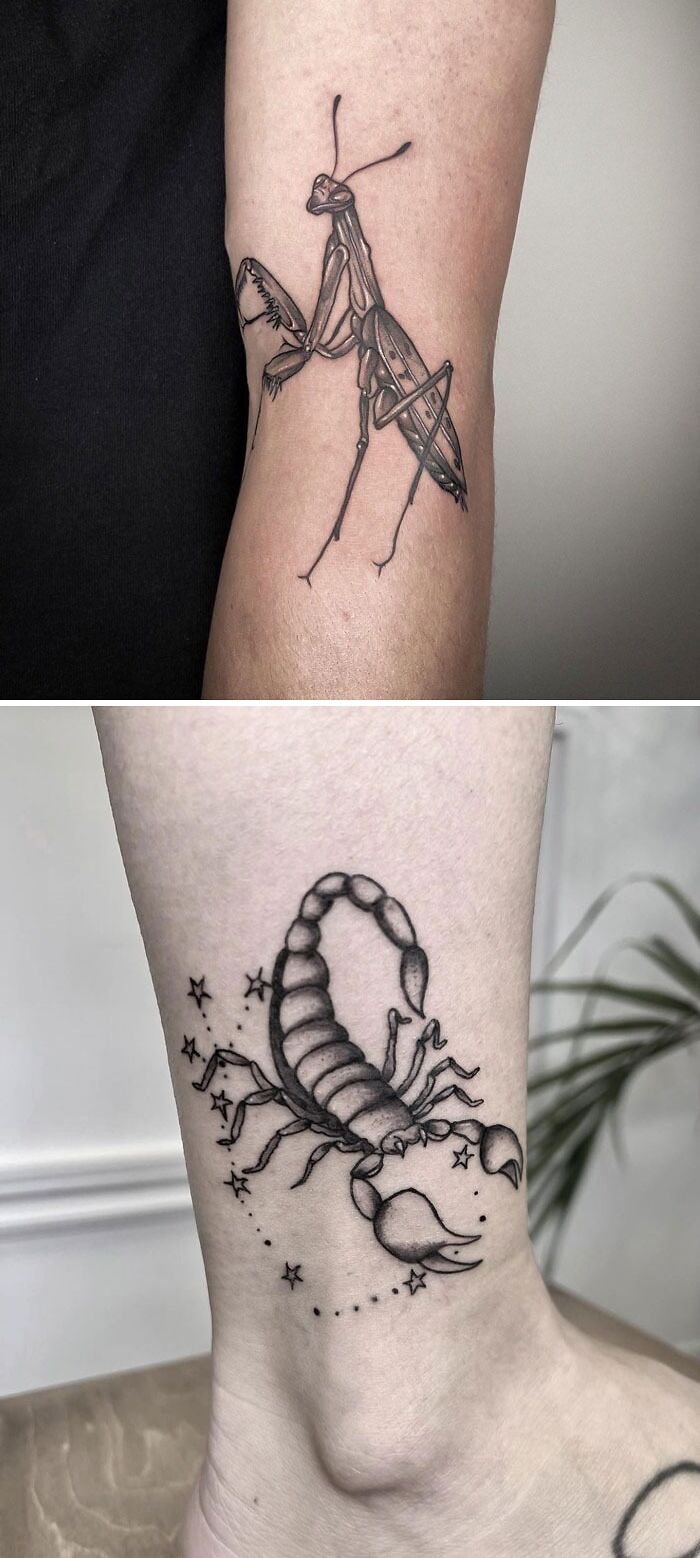 30 Simple and Realistic Animal Tattoo Designs