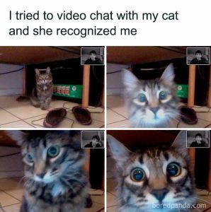 30 Side-Splitting Memes to Lift You Up and Break You Down