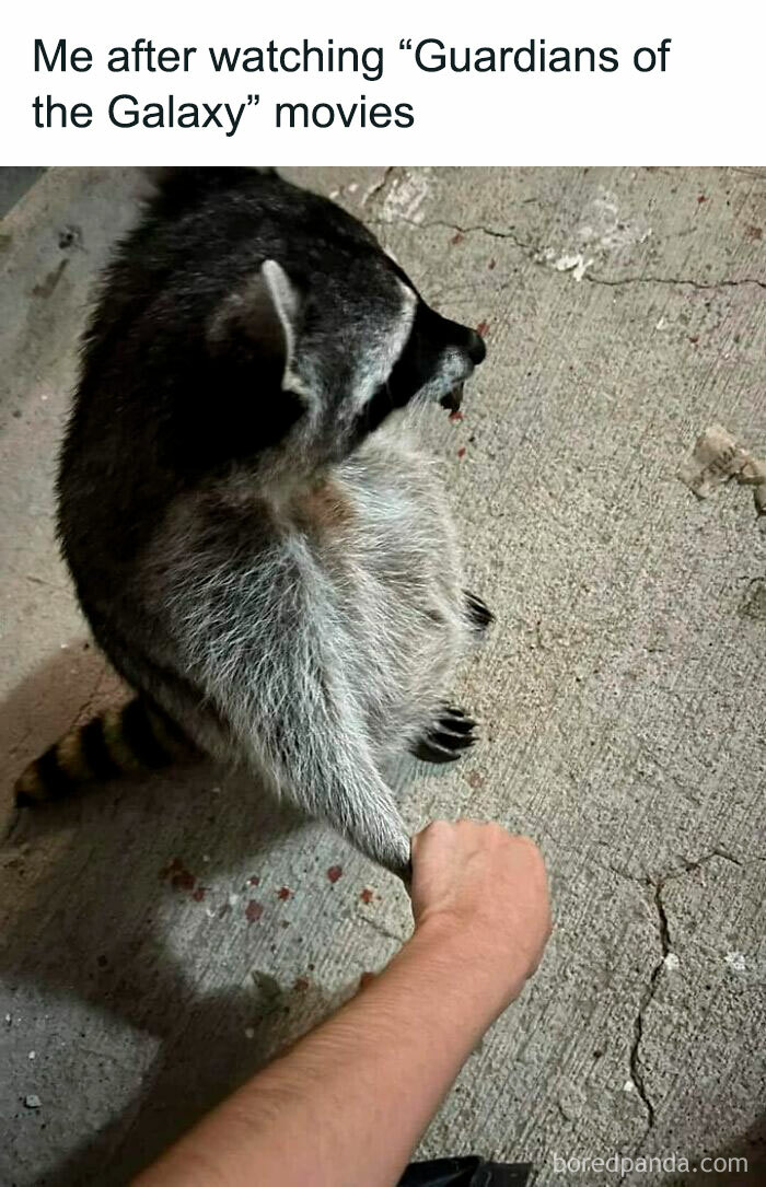 30 Side-Splitting Memes to Lift You Up and Break You Down